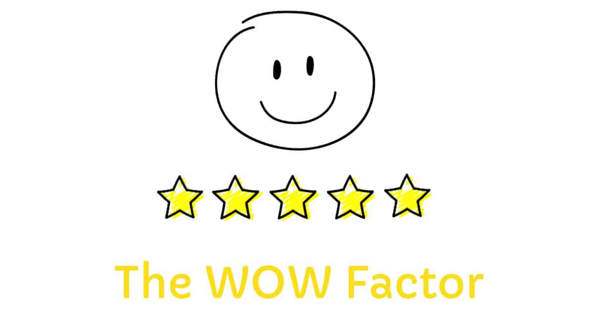 Great customer service is not about creating a 'Wow Factor' for the ...